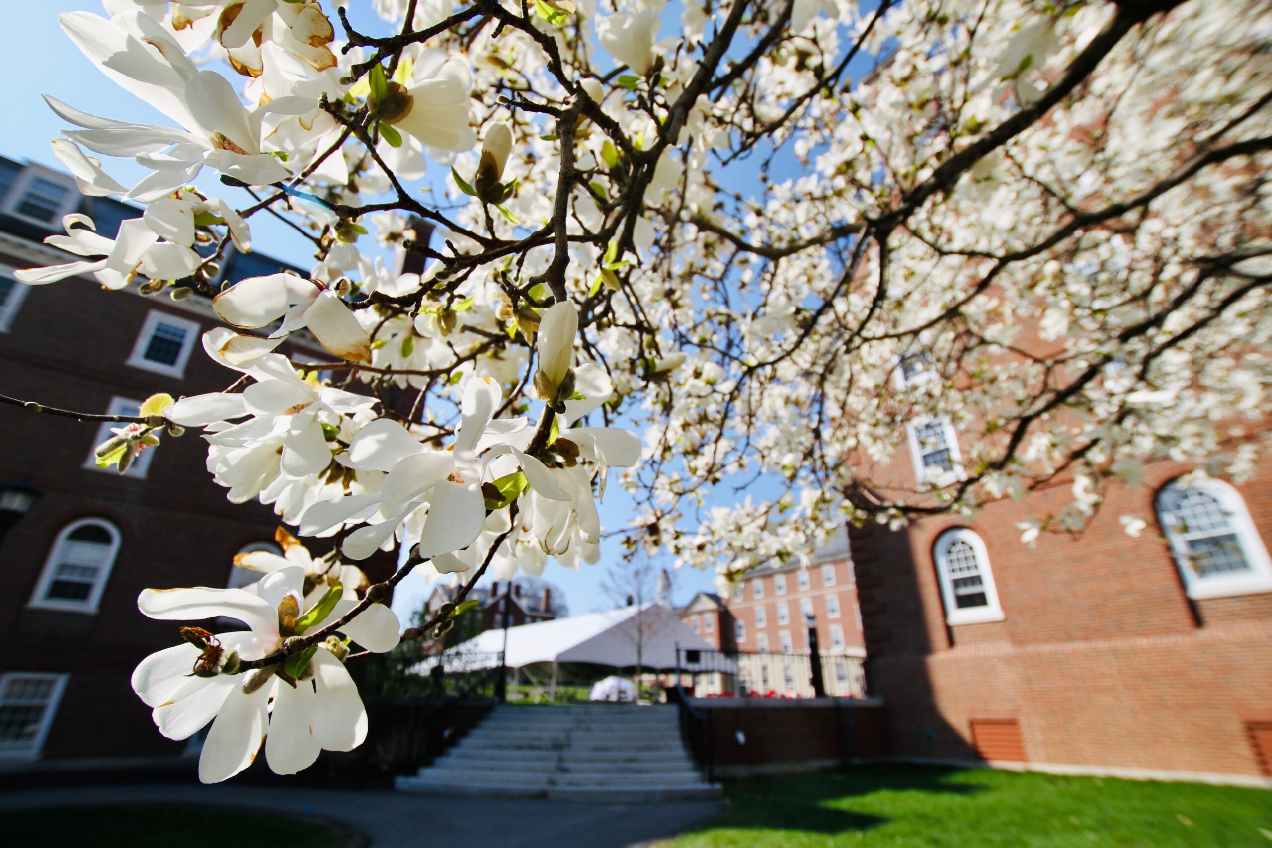 Our Campus - Phillips Exeter Academy