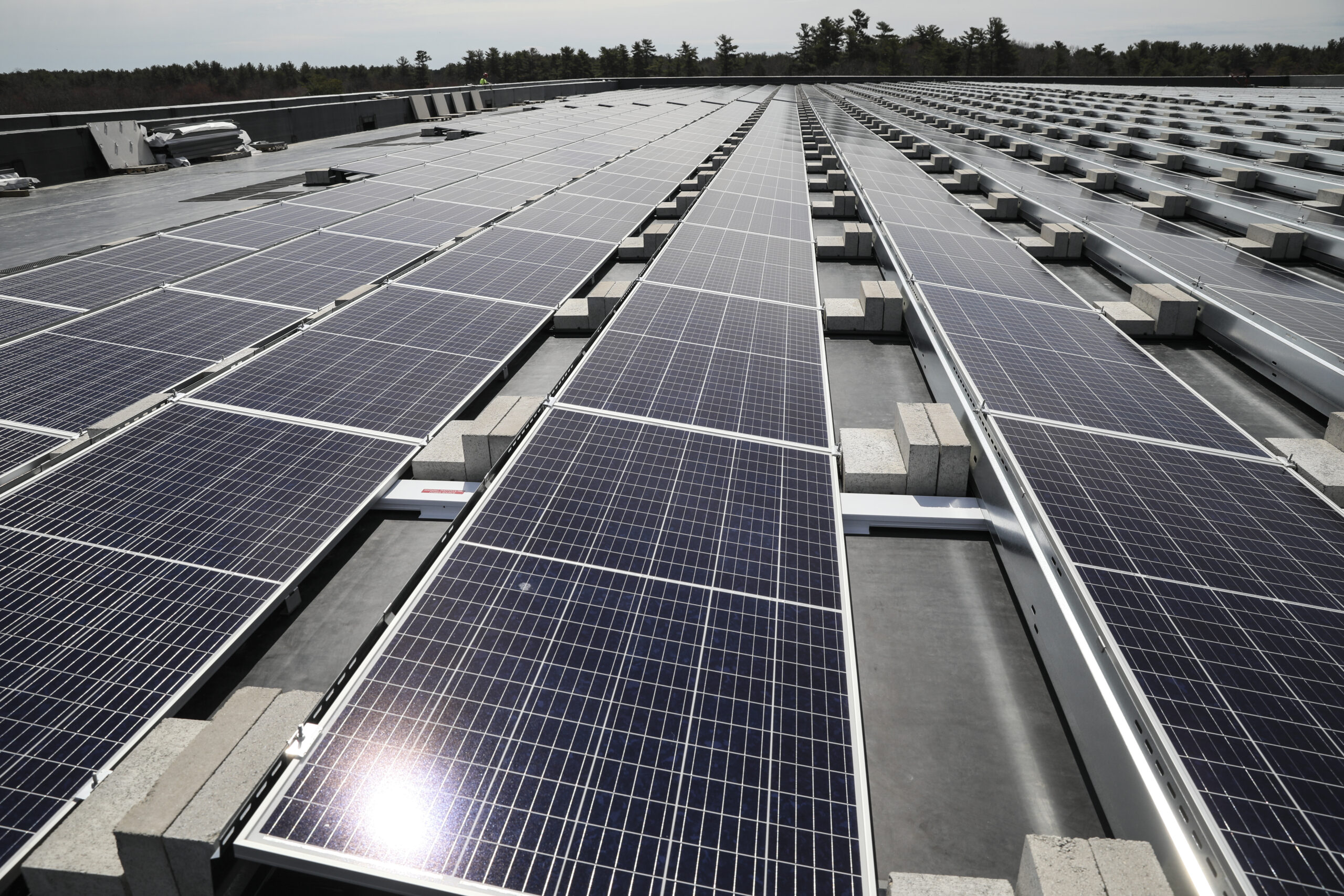 Sustainability - Phillips Exeter Academy