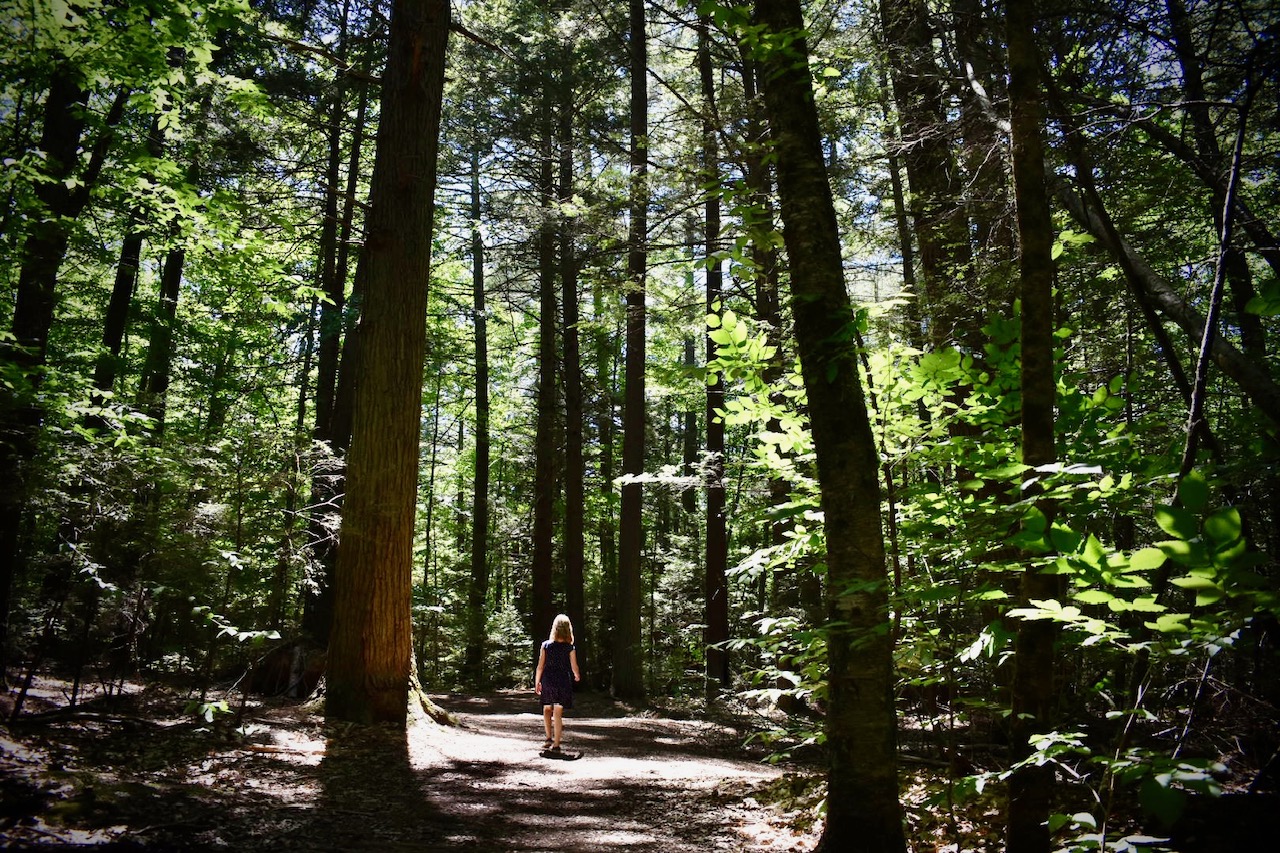 For the Community - Phillips Exeter Academy