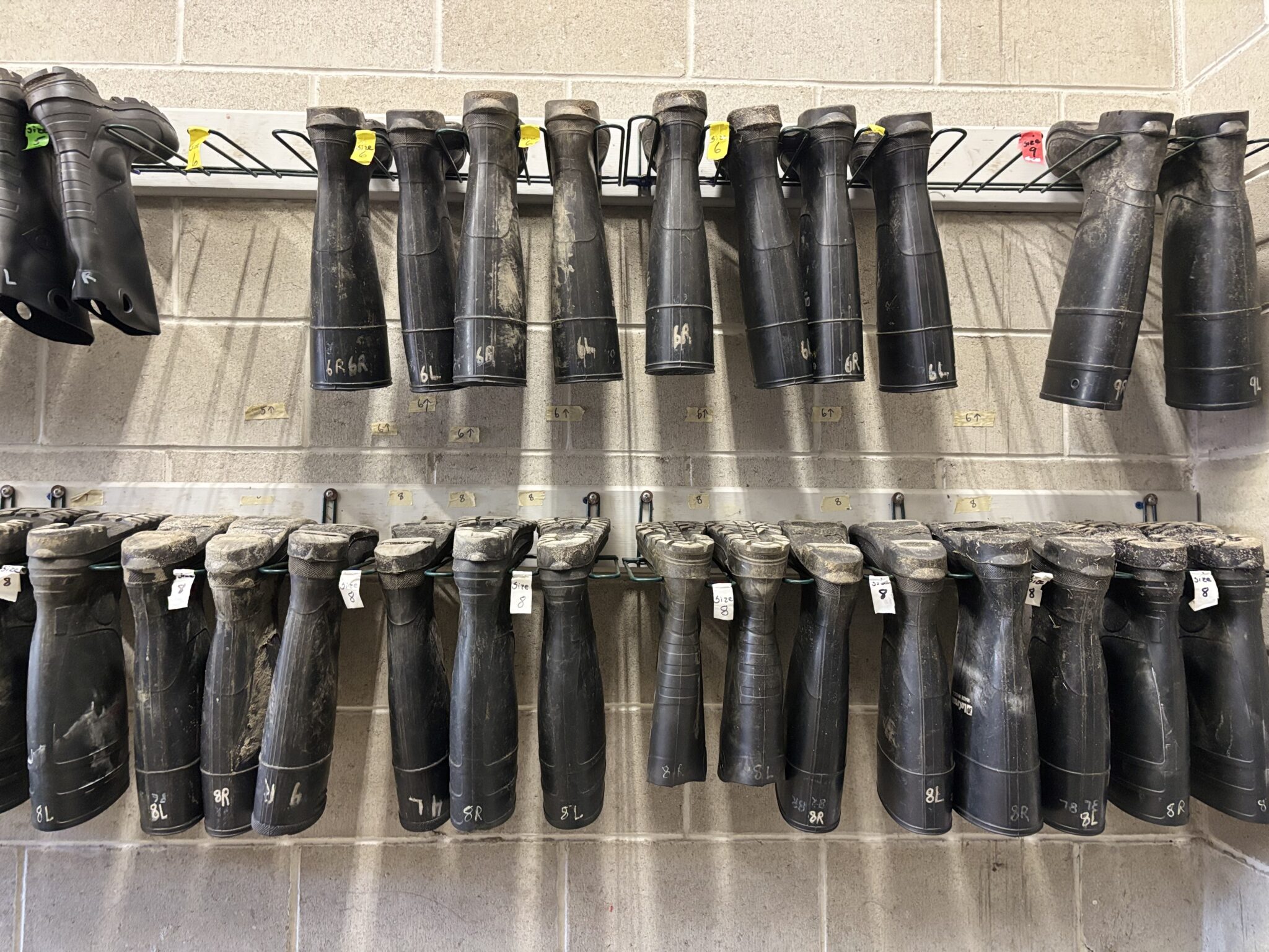 The Exeter Bulletin - Phillips Exeter Academy